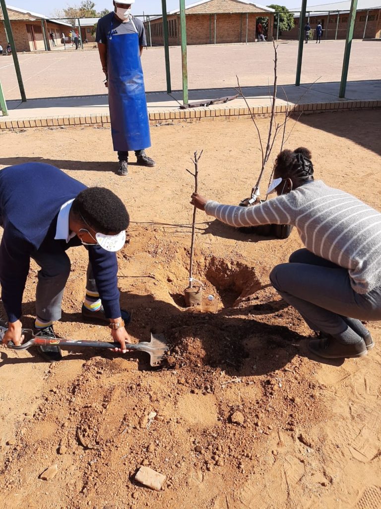 Massive tree-planting programme comes to town – Konica Minolta South Africa